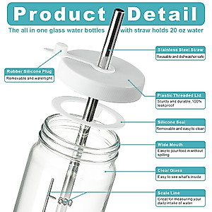 Ritayedet 8 Pack 20 Oz Glass Juicing Bottles w 8 BK SCREW Lids(100% Airtight Sturdy Lid w Silicone) & 4 WH SCREW Lids w Hole & 4 Straws - Drinking Jars, Travel Water Cups