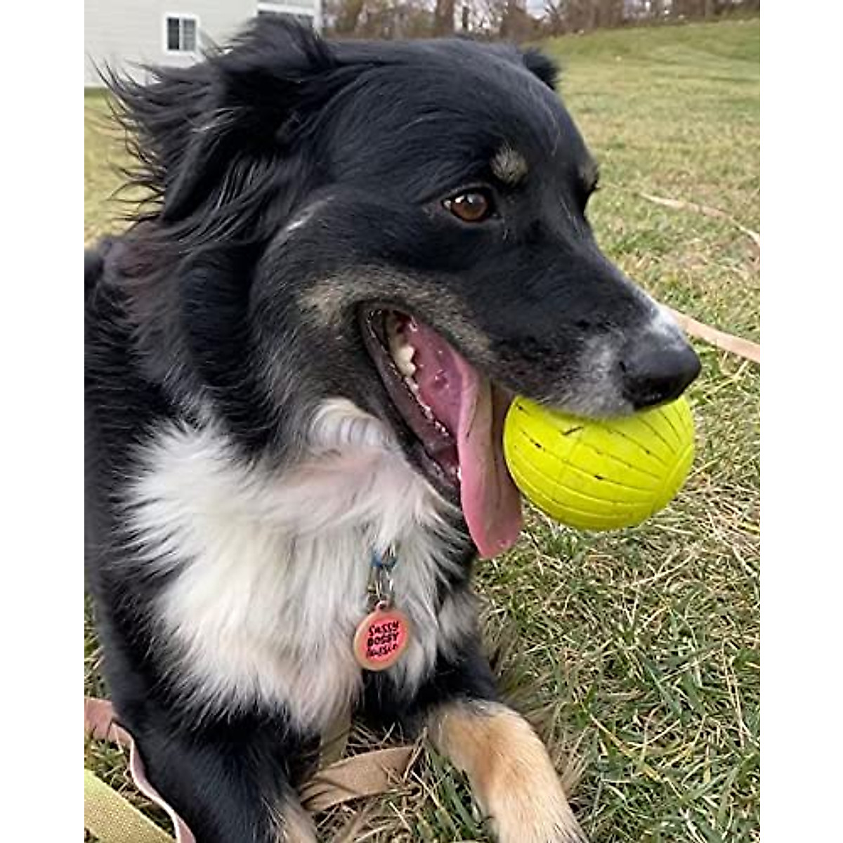 Chew King Supreme Rubber Fetch Balls - Extremely Durable Natural Rubber Toy, 2.5 inch, Yellow (CM-10066-CS01), 2.5" (Medium)