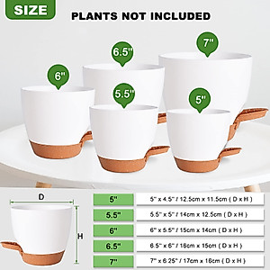 Vanslogreen Plant Pots for Indoor Plants 5 Pack Self Watering Planters, 7/6.5/6/5.5/5 Inch Self Watering Pots with Drainage Hole Plastic Flower Pot for Herbs, Succulents, African Violet (White)