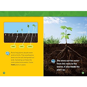 Plants (National Geographic Kids Readers, Level 1/Co-Reader)