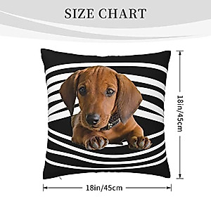 VARUN Square Throw Pillow Covers Cute Dachshund Dog Stripes Design Pillow Cases Decorative for Home Bedroom Sofa Pillowcases Standard Size 18X18 Inch
