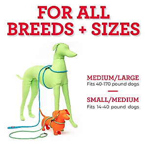 Harness Lead No Pull Dog Harness and Leash Set, Anti Pull Dog Harness for All Breeds and Sizes, One-Piece Cushioned Rope Design Safely Prevents Escaping and Pulling (Medium/Large, Blue/Multi)
