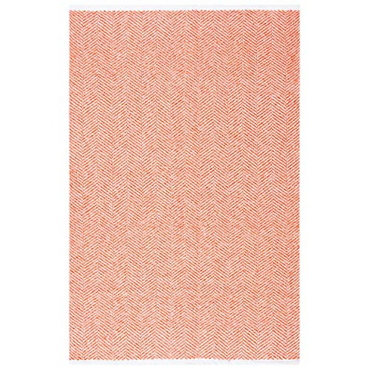 SAFAVIEH Nantucket Collection 4' x 6' Rust NAN144P Handmade Cotton Area Rug