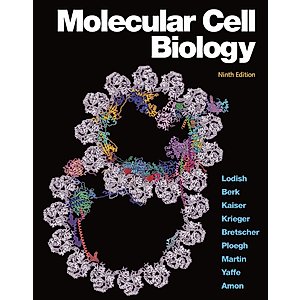 Loose-Leaf Version for Molecular Cell Biology
