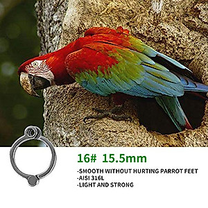 Bird Foot Rings AISI 316L Stainless Steel Bird Harness Outdoor Parrots Leg Ring Outdoor Fly Training Activity Opening Clip Accessories for Parrots(15.5mm)