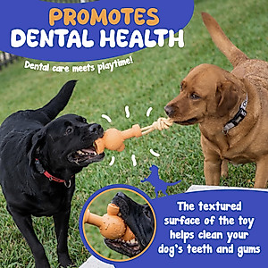 LIT LABS Funny Dog Toy Chew Rubber Tug-A-War Dog Toy - Built for Sized Medium to Large Dogs - Ideal Gift for Dog Birthday - Orange Body with Yellow Rope