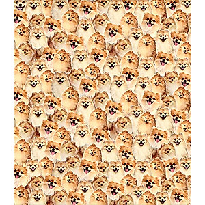 BlessLiving Pomeranian Throw Blanket Fuzzy Dogs Blanket for Kids People Cute Puppy Fleece Blanket Reversible Animal Pet Sherpa Couch Throw Pomeranian Gifts for Pomeranian Lovers (50 x 60 Inches)