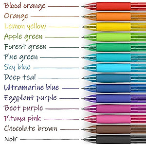 ARTEZA Colored Gel Pens, Pack of 14, Unique Vibrant Colors, Fine 0.7 mm Tip, Retractable, Art Supplies for Journaling, Drawing, Doodling, and Notetaking
