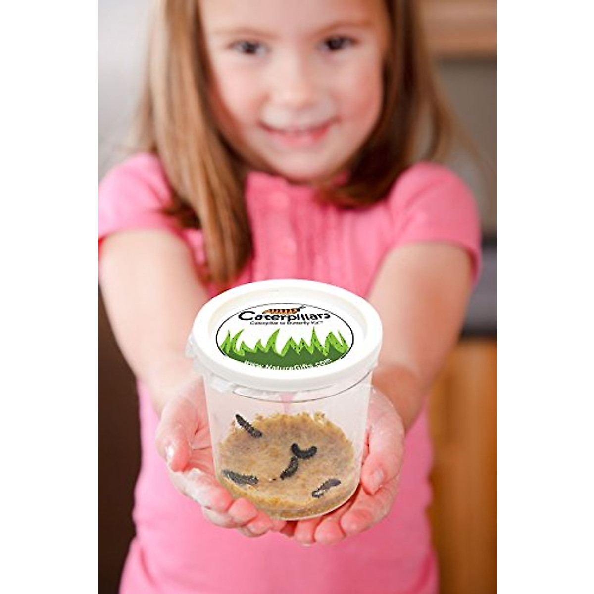 Nature Gift Store 10 Live Caterpillars Shipped Now- Butterfly Kit Refill ONLY