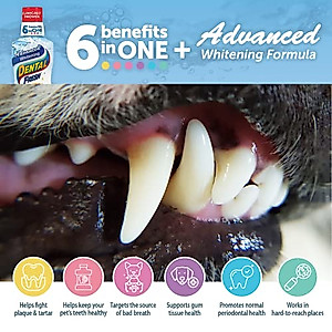 Dental Fresh Advanced Whitening Water Additive, 17oz – Dog Breath Freshener Formula to Hep Overall Dog Dental Care and Brighten Teeth