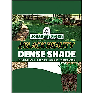 Jonathan Green JOG10600 40600 Dense Shade Grass Seed, 3 lb, 3-Pound