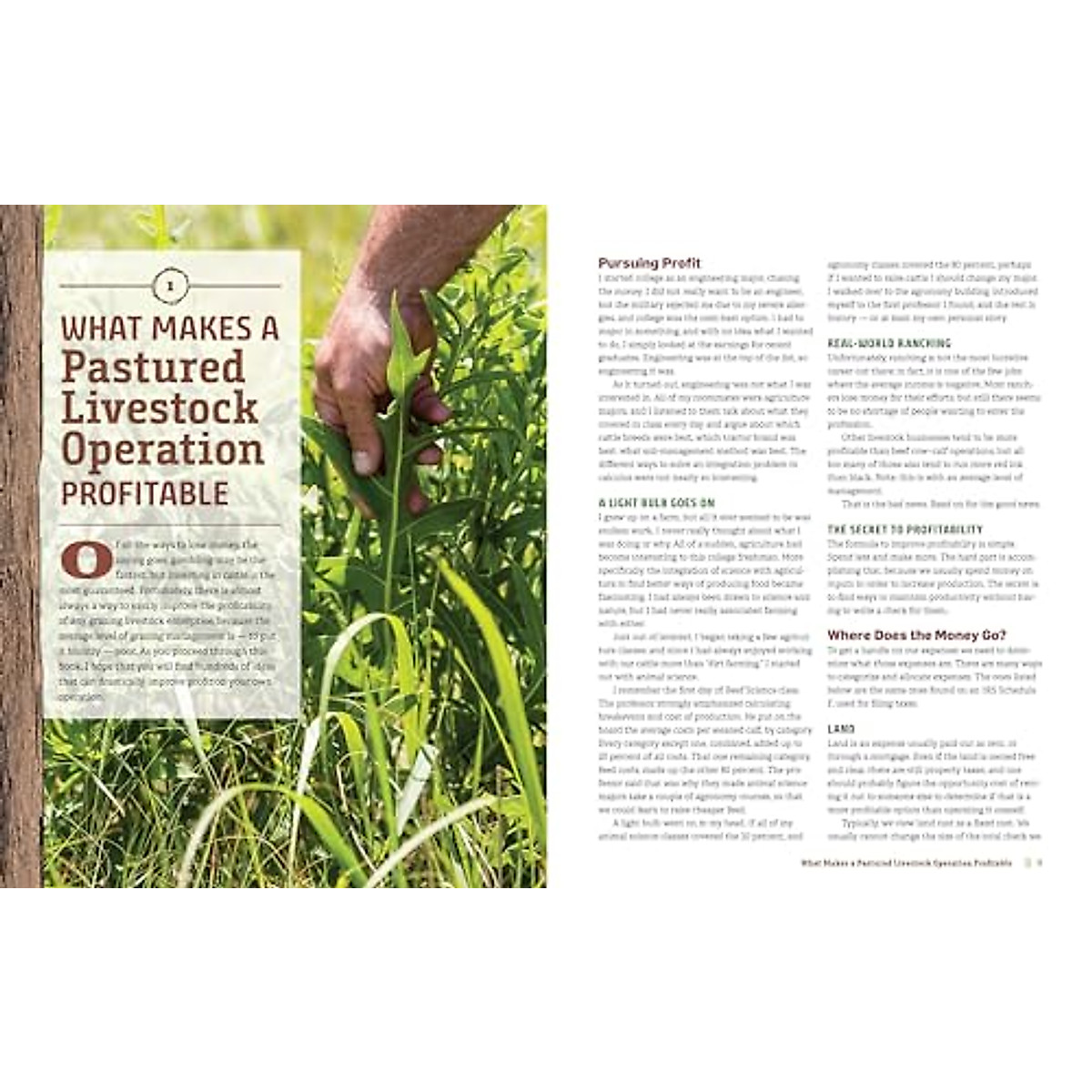 Managing Pasture: A Complete Guide to Building Healthy Pasture for Grass-Based Meat & Dairy Animals