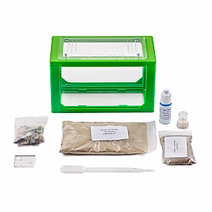 AntHouse - Natural Sand Ant Farm | 3D Green Starter Kit 7.87 x 3.94 x 3.94 in