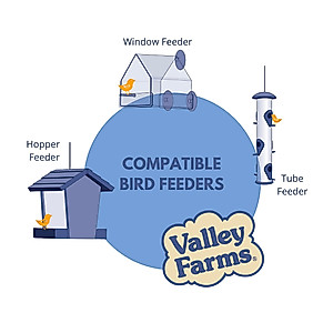 Valley Farms Hi-Flite Wild Bird Food for Outside Feeders- Best Value Economy Wild Bird Seed for All Species of Birds with Black Oil Sunflower, 5 LBS 2-Pack (10 LBS Total)