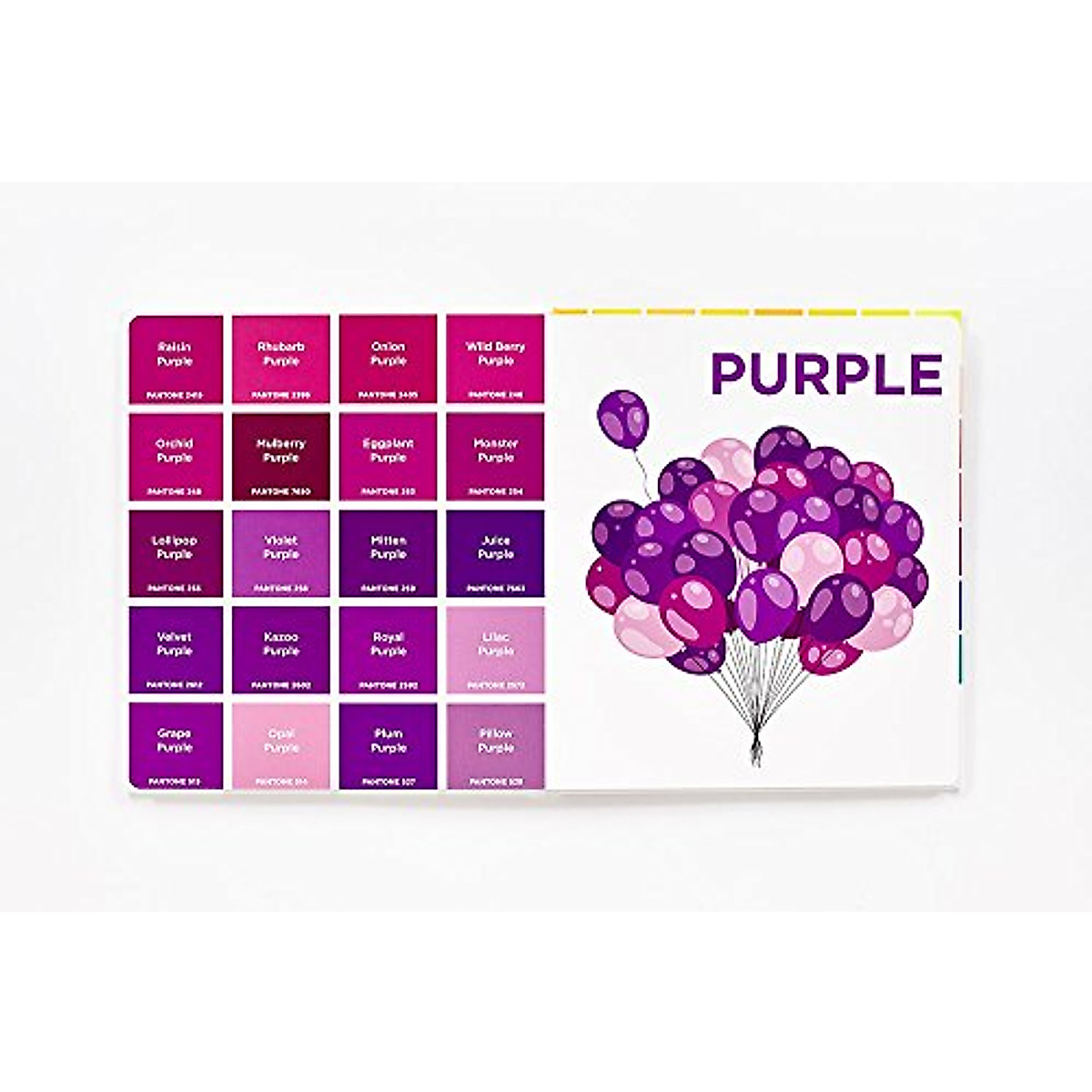 Pantone: Colors: A Board Book