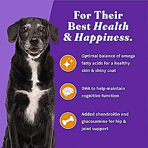 Halo Purely for Pets Holistic Dog Food, Complete Digestive Health Grain Free Cage-Free Chicken and Sweet Potato Recipe, Dry Dog Food Bag, Senior Formula, 10-lb Bag