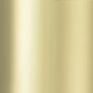 Coaster Home Furnishings Palmer 2-Tier Serving Cart Merlot and Brass