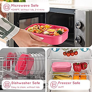 TIME4DEALS Bento Box for Kids 44oz 4 Compartment Lunch Container with Cutlery, Bento Lunch Box Containers for Kid/Adult/Toddler, Leak Proof, Microwave/Dishwasher/Refrigerator Safe, BPA Free (Pink)