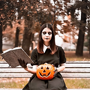 ABOOFAN 3pcs Branch Manzanita Branches Fake Dried Tree Branches Simulation Coral Plant Twigs DIY Antler Headdress Craft Halloween Party Home Decoration