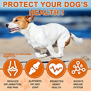 Turmeric for Dogs, 180 Turmeric Curcumin Tablets Supports Heart, Immune System Booster, Hip & Joint Support, Dog Pain Relief, Pet Supplement Treats w/Fish Oil, Curcumin C3-180 Tablets / 5.1 OZ