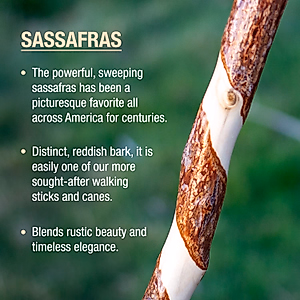 Brazos Rustic Wood Walking Stick, Twisted Sassafras, Traditional Style Handle, for Men & Women, Made in The USA, 55"