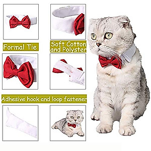 Bolbove Adjustable Formal Pet Bowtie Collar Neck Tie for Dogs & Cats (Small, Red)