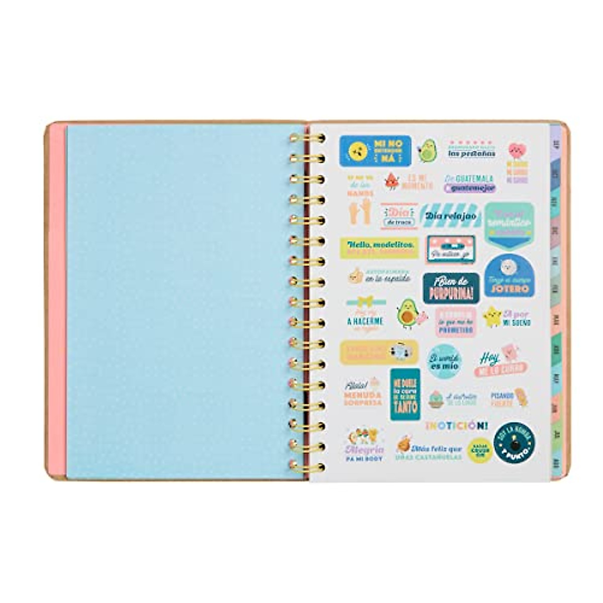 Mr. Wonderful, Wonder Planner 2023-2024 Weekly - Everything I'll Achieve