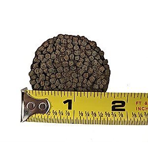 Josh's Frogs Dart Frog Tadpole Food (2 oz)