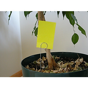 25ea. 3" X 5" Yellow Sticky Traps for White Flies, Aphids, Fungus Gnats & Leaf Miners