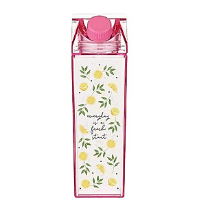 Acrylic Water Bottle by Heartfelt - Square Bottles - Clear Carton Juice or Milk Carton Water Bottle, 17-Ounce, Fresh Start