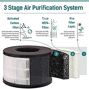 BS-03 Air Purifiers for Home & H13 True HEPA Replacement Filter Compatible for BS-03 Air Purifier