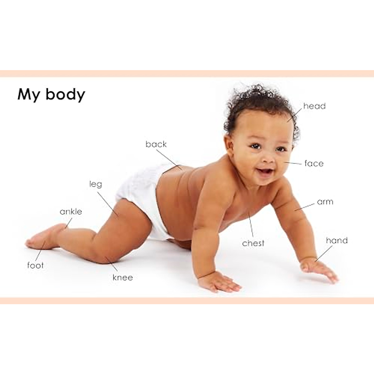 My First Body (My First Board Books)