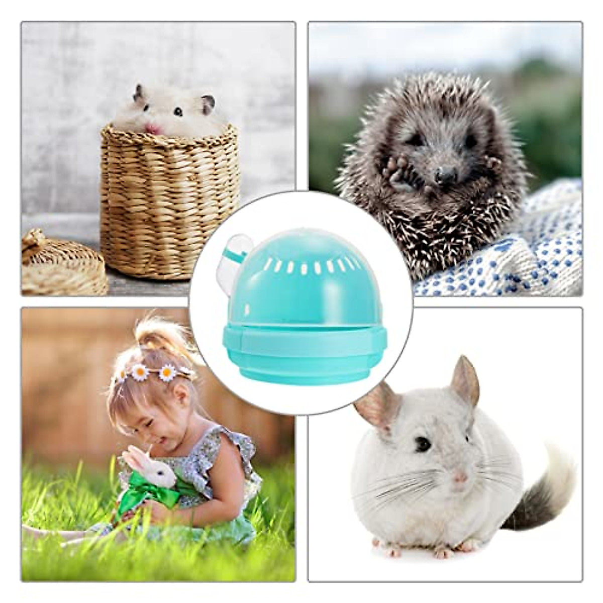 Mipcase Plastic Bag Guinea Tortoise Bottle for Small Pet Cage Carry Clear Animals Habitat Travel Green Rat with Outdoor Sugar Pig Transport Accessories Drinking Squirrel Unit Case