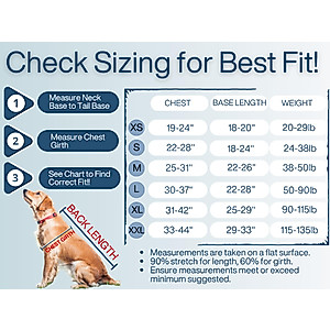 Dog Recovery Suit After Surgery - for Spay Neuter - with Washable Pads - Dog Onesie (Grey Medium)