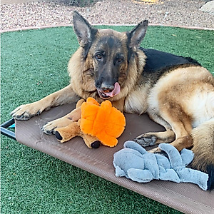 Jalousie 5 Pack 12'' Dog Toys Assortment Value Bundle Dog Plush Toys Dog Squeak Toys12 Inch Each Dog Squeaky Toys Assortment for Medium to Large Breeds - Include Raccoon Elk Hippo Fox Sloth