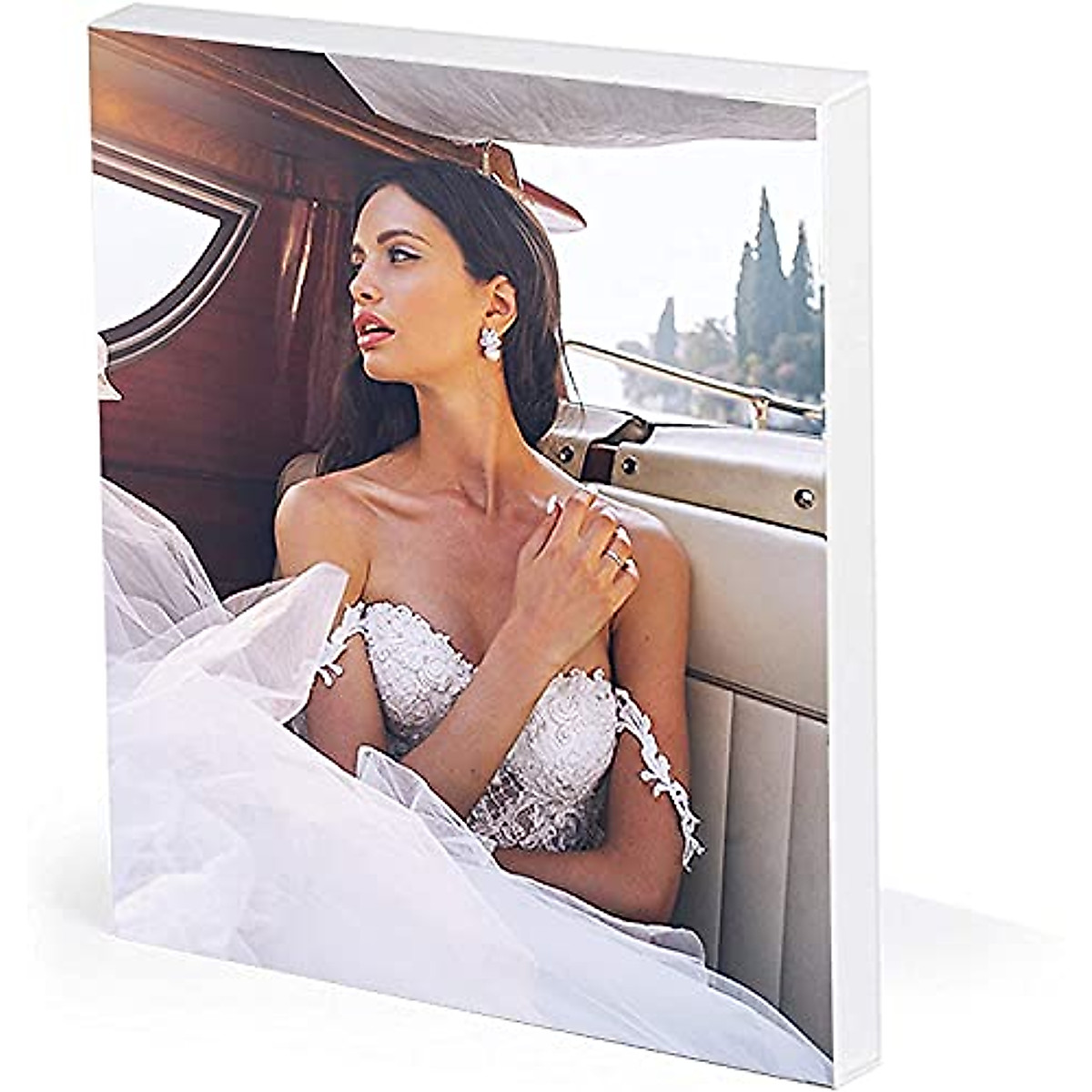 Canvas Custom, Custom Print with Your Photos for Pet, Printed in USA (8X8 INCH)