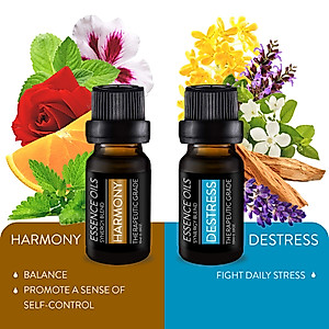 Pure Daily Care Aromatherapy Top 10 Essential Oil Synergy Blend Set – Therapeutic Grade Synergy Oil Blends – Uplift Mind, Body and Spirit – 10 x 10 Ml Blends – No Fillers & No Additives