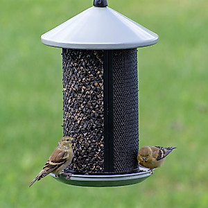 Perky Pet TSS00349 Dual Mesh Wild Bird Seed Feeder