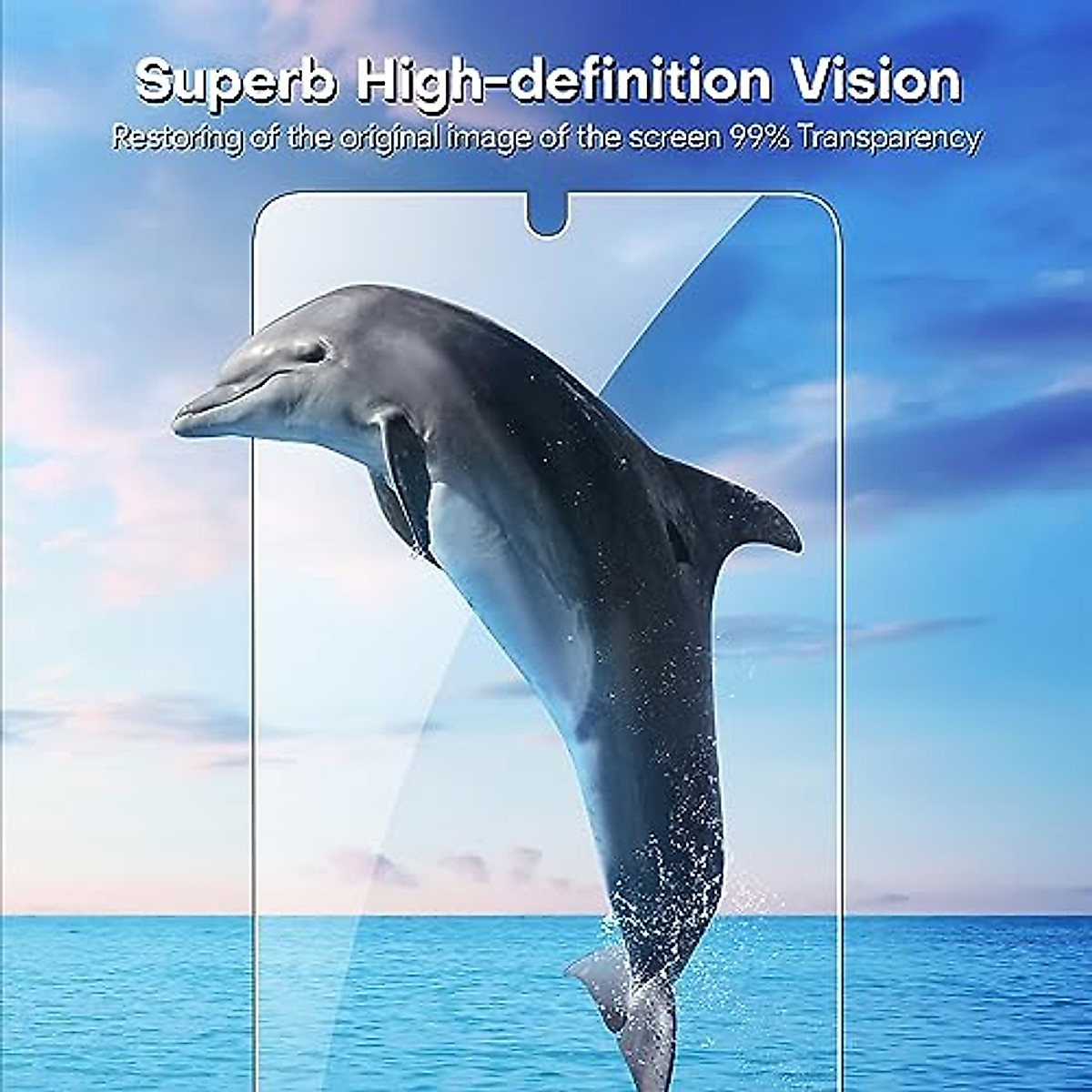 Rayboen Case for Galaxy S21+ Plus 5G with Screen Protector Soft(2Pcs), Crystal Clear Designed Shockproof Phone Case, Hard PC Back Soft TPU Frame Slim Transparent Cover for Samsung Galaxy S21+ Plus