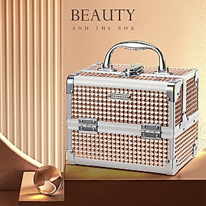 FRENESSA Makeup Train Case Portable Cosmetic Box Jewelry Organizer 2-Tier Trays Lockable with Keys and Mirror Carrying with Handle Makeup Storage Box - Rose Gold