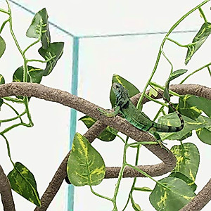 Coolrunner 8FT Reptile Vines and Flexible Reptile Leaves with Suction Cups Jungle Climber Long Vines Habitat Decor for Climbing, Chameleon, Lizards, Gecko