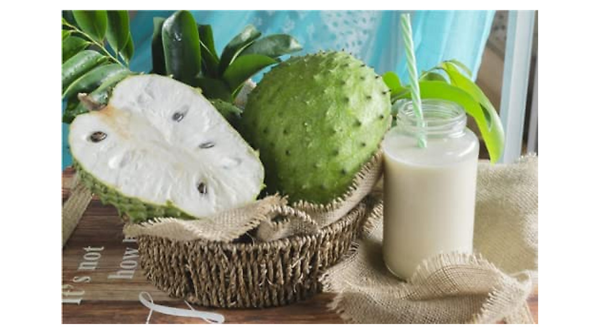Exotic Soursop Seeds - Grow Graviola at Home