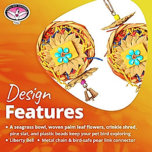 Super Bird Creations SB611, Beakwhich Bird Toy, Medium Bird Size, 9" x 5" x 4"
