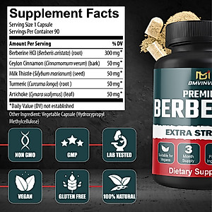 5-in-1 Berberine with Ceylon Cinnamon Milk Thistle Turmeric Artichoke - 3 Month Supply - 90 Capsules