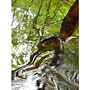 Posterazzi Abstract 23 Massachusetts Seekonk Caratunk Wildlife Refuge Ripples And Reflections On Water Surface. Poster Print, (24 x 32)