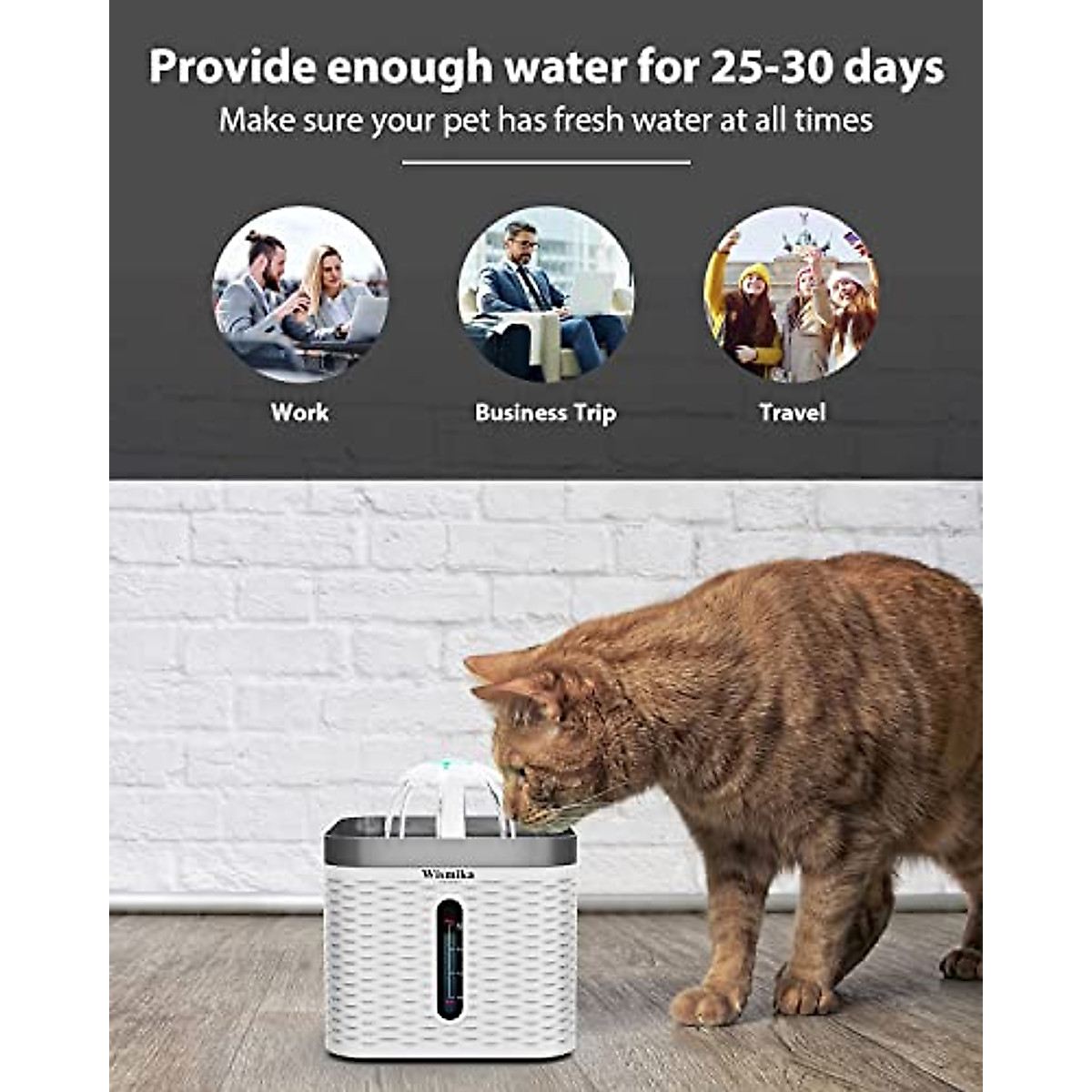 Wismika Upgraded Pet Fountain, 84oz/2.5L Automatic Cat Dog Water Fountain, Quiet Electric Dispenser Bowl with Intelligent Pump and LED Indicator and 3 Replacement Filters for Cats, Dogs