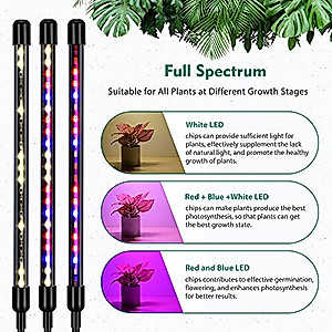 AMBOR Grow Lights for Indoor Plants with Stand, [5-Heads] Floor Plant Light, 150W Full Spectrum LED Plant Grow Lamp with 4 8 12H Timer, 10 Dimmable Brightness, Remote Control and Auto ON/Off