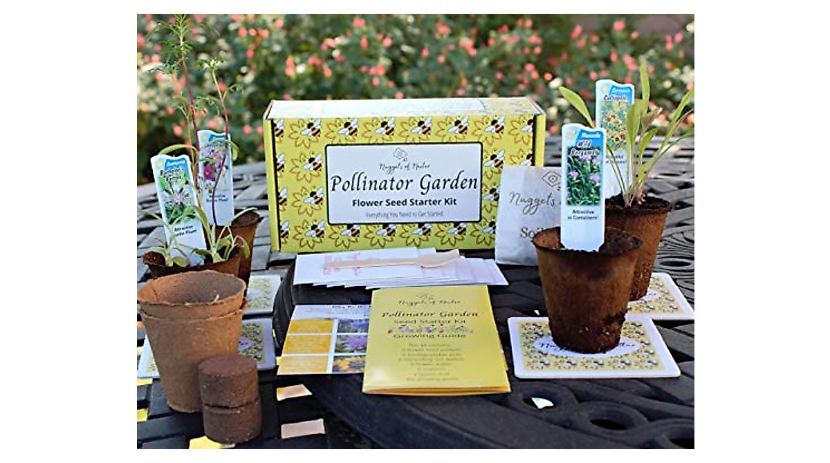 Grow Wildflowers with Nuggets of Nectar Pollinator Seed Kit | Attract Bees