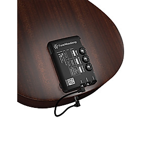 Acoustic Effects- No Amp Required! ToneWoodAmp SOLO Multi-Effect Processor for Acoustic-Electric Guitars (Right Handed)