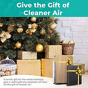 Alen BreatheSmart Classic H13 HEPA Air Purifier, Air Purifiers For Home Large Room w/ 1100 SqFt Coverage, Medical-Grade Air Cleaner for Allergens & Dust, up to 12 Mos. Filter Life, Oak
